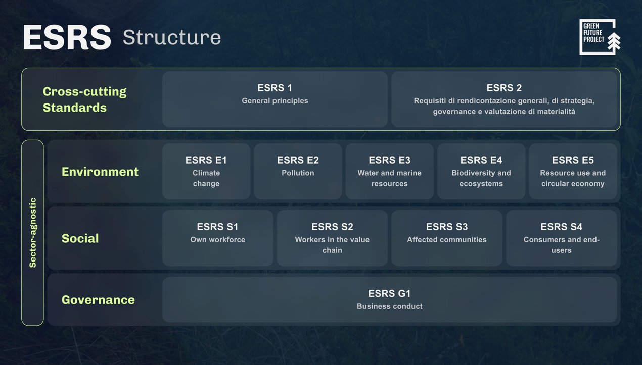 What are the ESRS and why are they the common language for ESG reporting?
